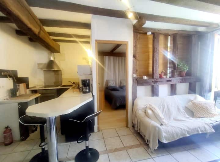 T2 Appartement Cosy Centre Historique - Bourges