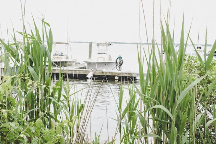 Shuck Shack: Waterfront, Marina Access, Oysters! - Charlestown, RI