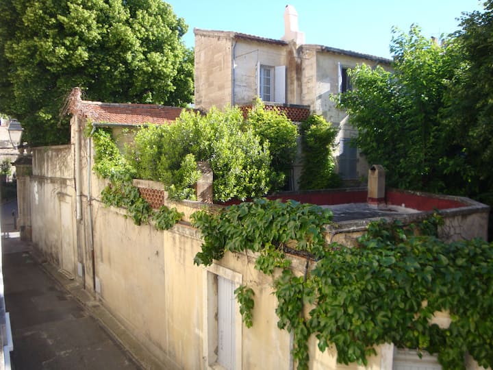 Avignon Historique: Du Charme - Avignon