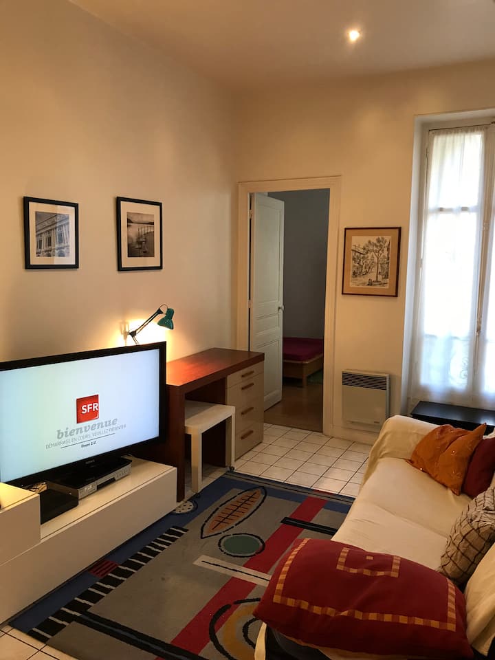 Renovate Apartment  Central Nice - Nice