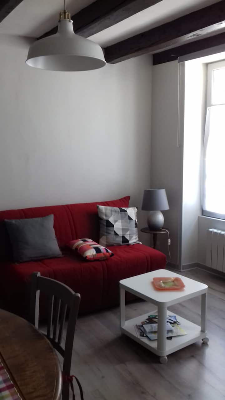 T2-41 M2  Au Centre Ville à 2 Min Du Vieux Port - Charente-Maritime