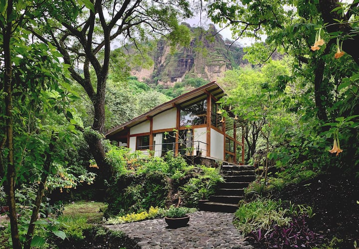 Modern Mountain Oasis - Tepoztlán