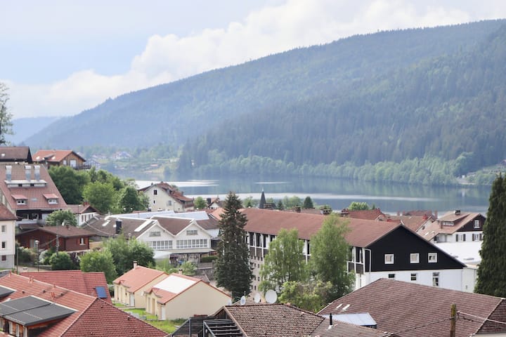 Appart.  Tt  Confort Proche Ville Lac Pistes 5/6 P - Gérardmer