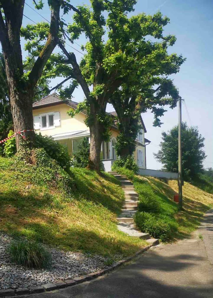 Party-event 
Bollero Haus-wohnung - Haut-Rhin