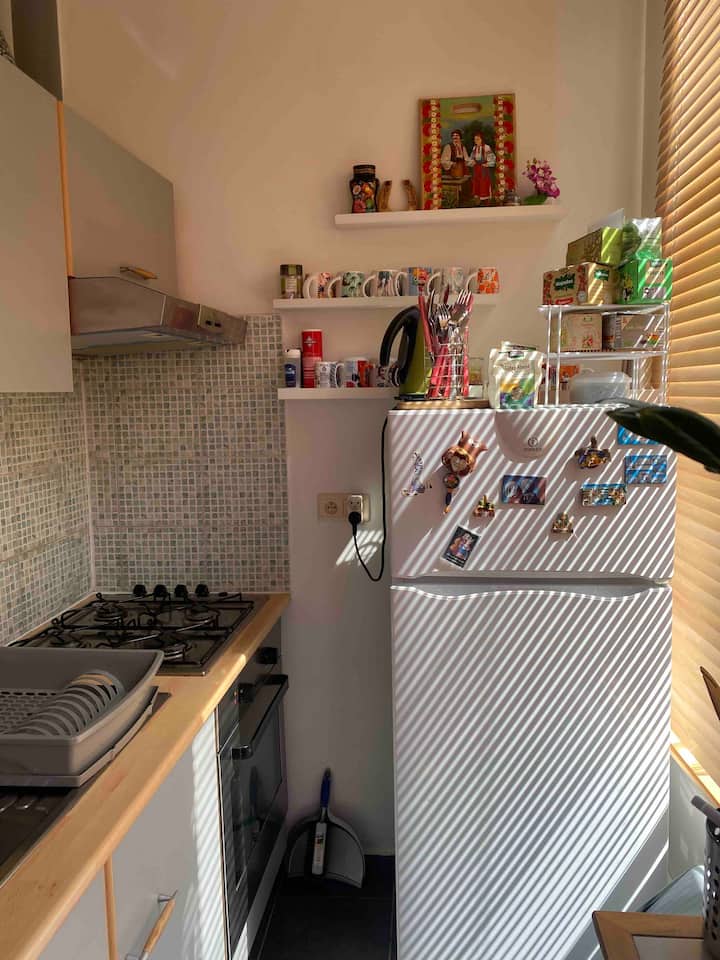 Appartement 1 Chambre ( Salon + 1 Chambre) - Bryssel