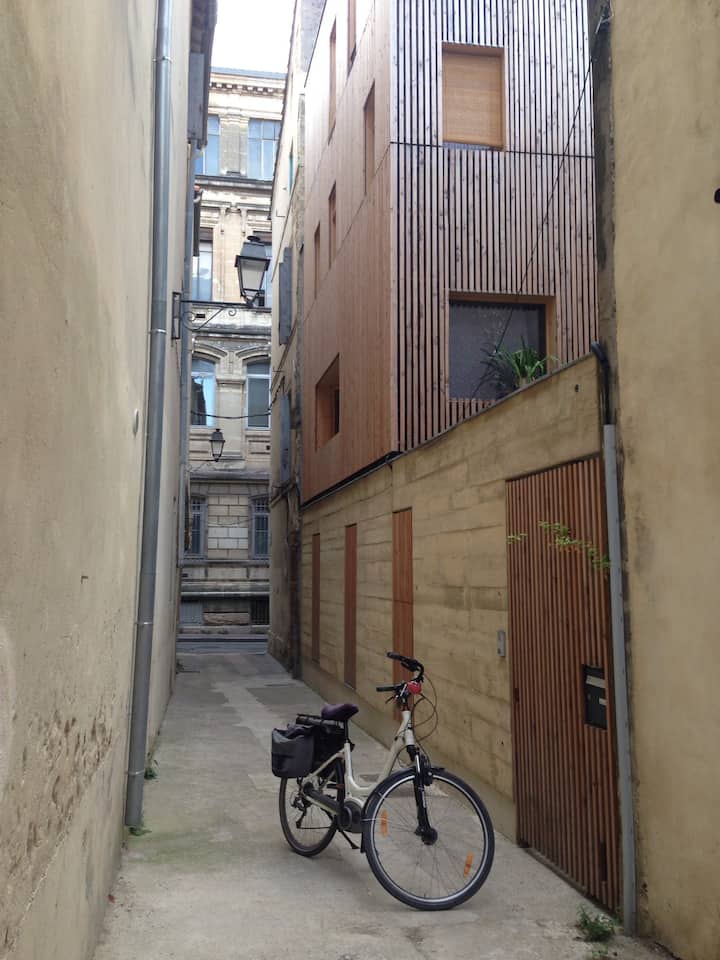 Maison Contemporaine Dans L'écusson - Carnon