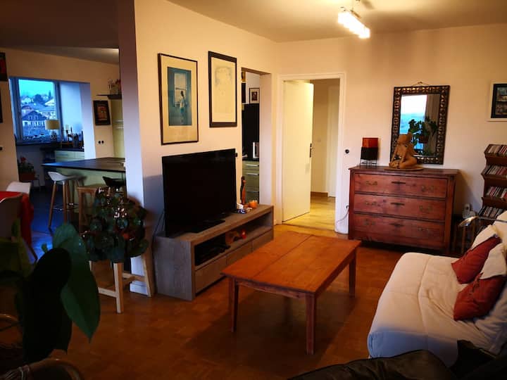 Appartement Lumineux Et Chaleureux (96m2) - Annecy