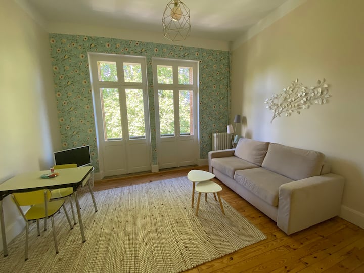 Joli Studio Face Au Parc - Vichy