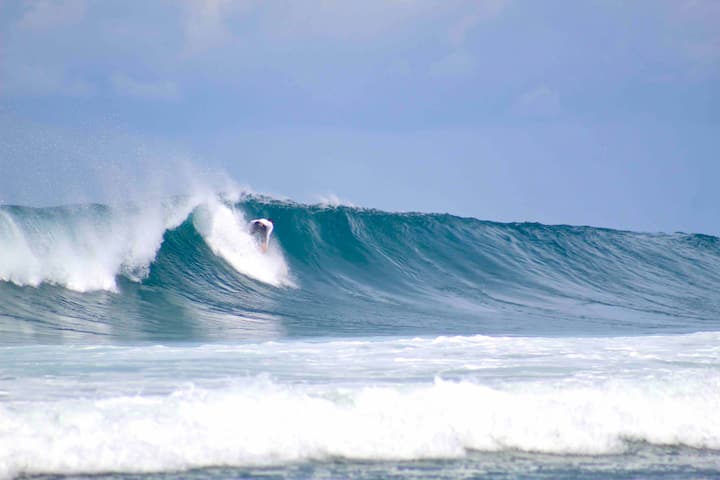 Panama Burica Life Surf Fishing & Wildlife - Panama