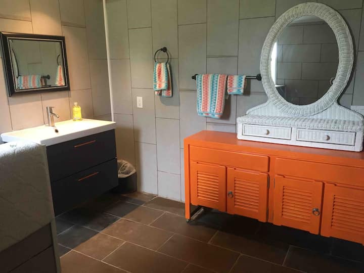 Heart Of Ft Myers! Mid-century Modern - Fort Myers, FL