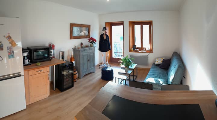 Petit Appartement 38m2 Au Centre De Cruseilles - Lac des Dronières