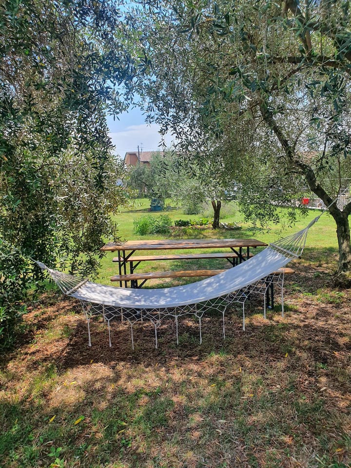 Casina Mia - Il Cedro - Sarzana