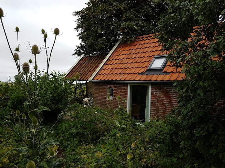 Pieterburen, Tuinhuisje Met Prachtig Uitzicht. - Schiermonnikoog