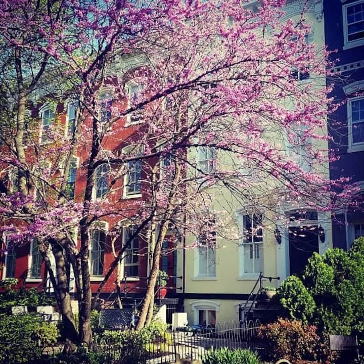 Cozy Capitol Hill Garden Unit - Washington, D.C.