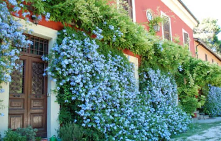 Appartment "Contessa Lilli" In Villa Galli - Fiano Romano
