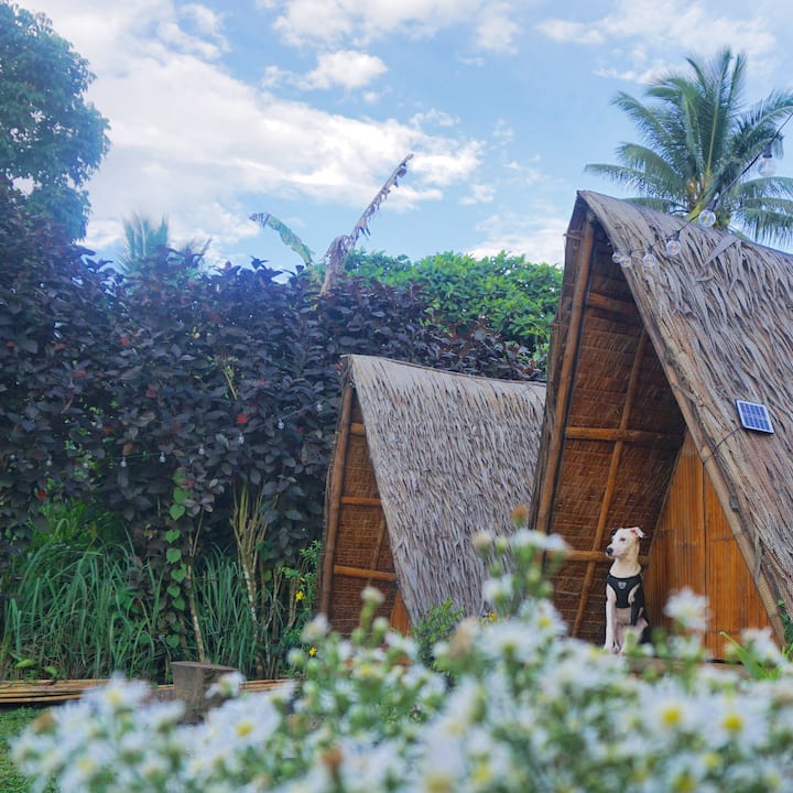 Exclusive City Camping Experience! - Tagaytay