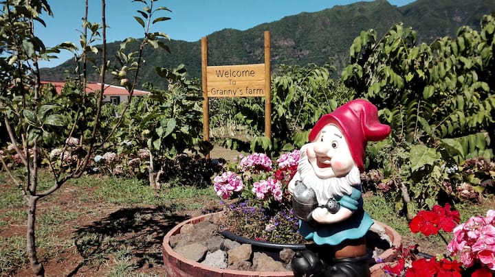 Granny´s Farm Holiday Bungalow D - Sao Vicente, Portugal