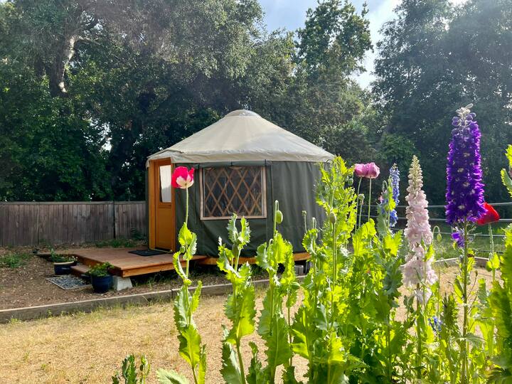 Top 4 Yurts Near Lake Cachuma, California - Updated 2025 | Trip101