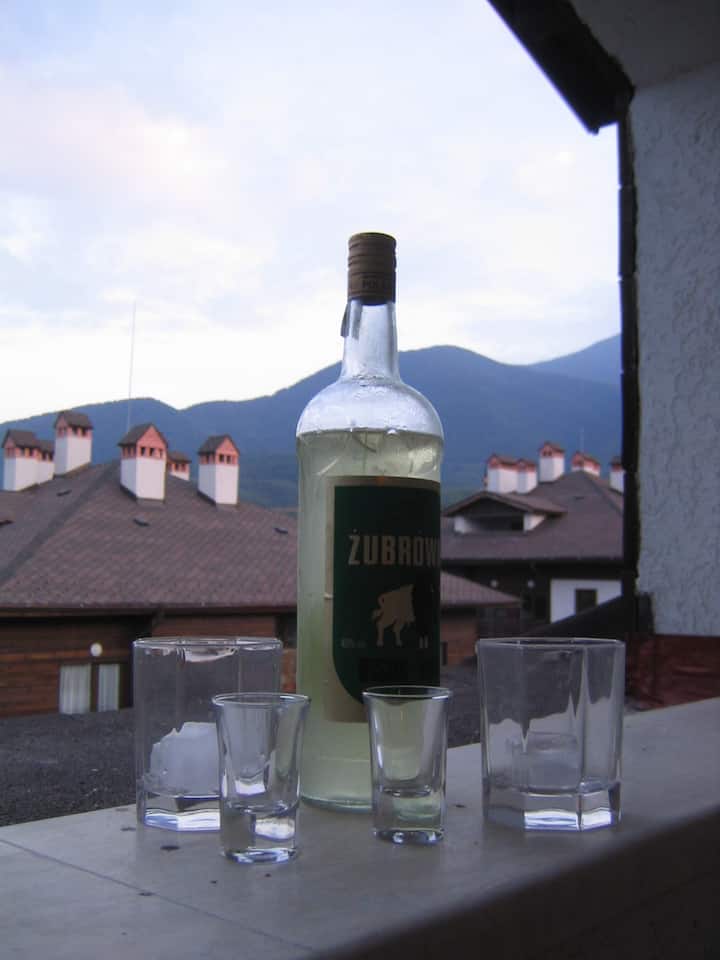 Fortuna Ski Apartment (5 Minute Walk To Lift) - Bansko