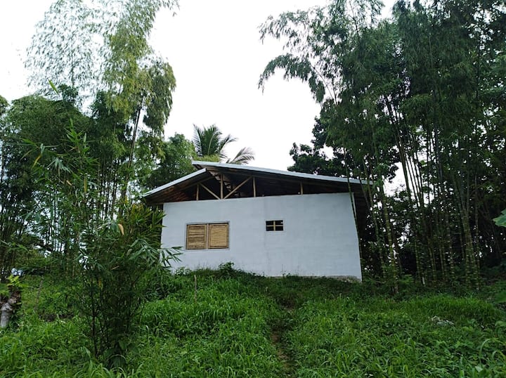 Wübu, Preciosa Cabaña De Bambú En La Selva - Lívingston