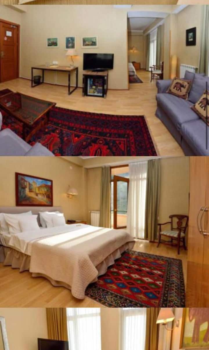 28 Bedrooms 4 Star Hotel With Pool +Sauna - Tbilisi