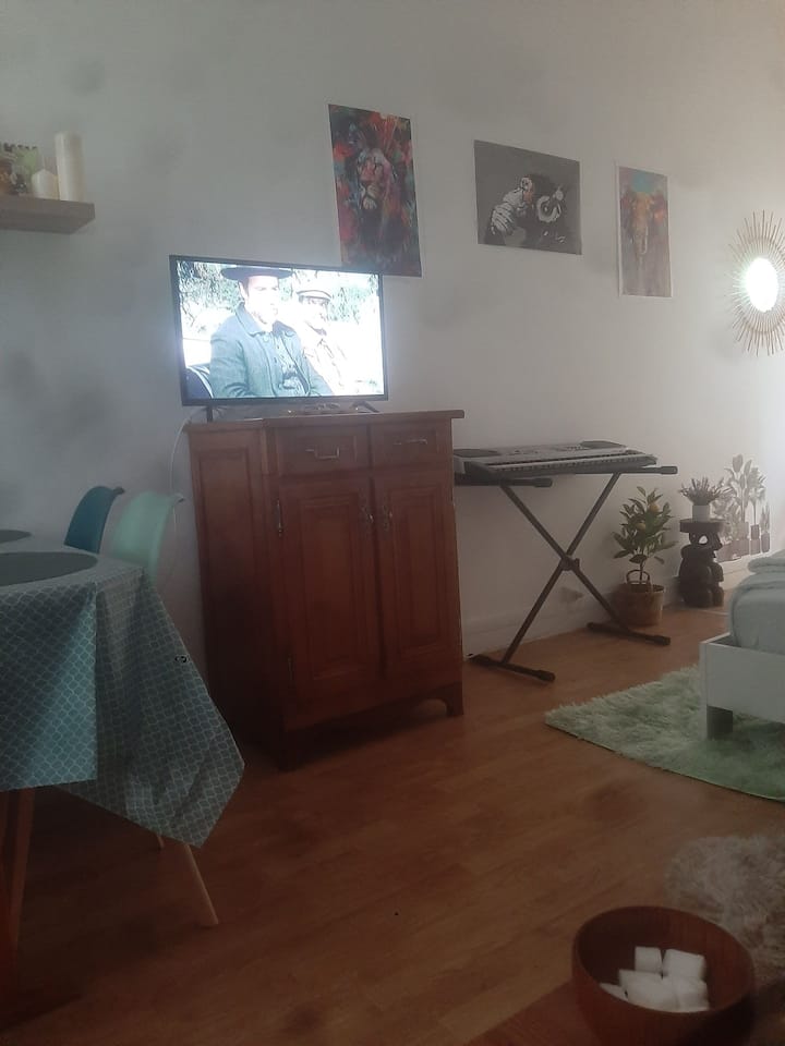 Centre Ville Juste à Côté - Fontainebleau