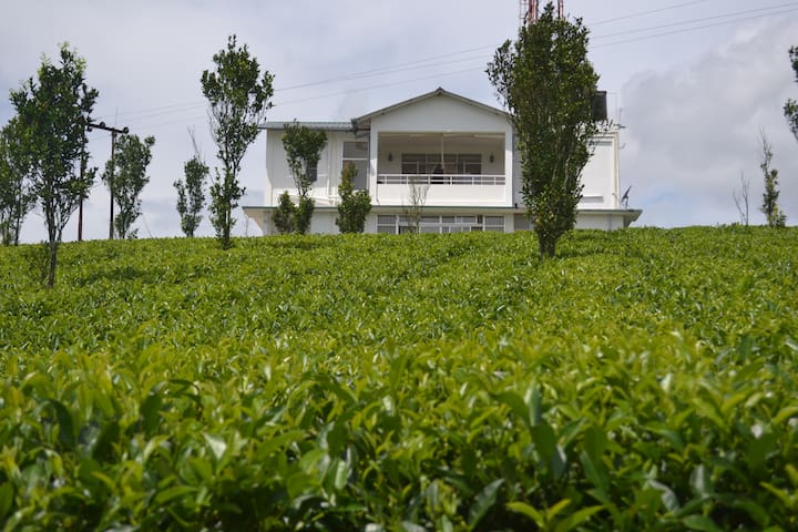 Jowai Travel Guide 2021: Best of Jowai Tourism | Tripoto