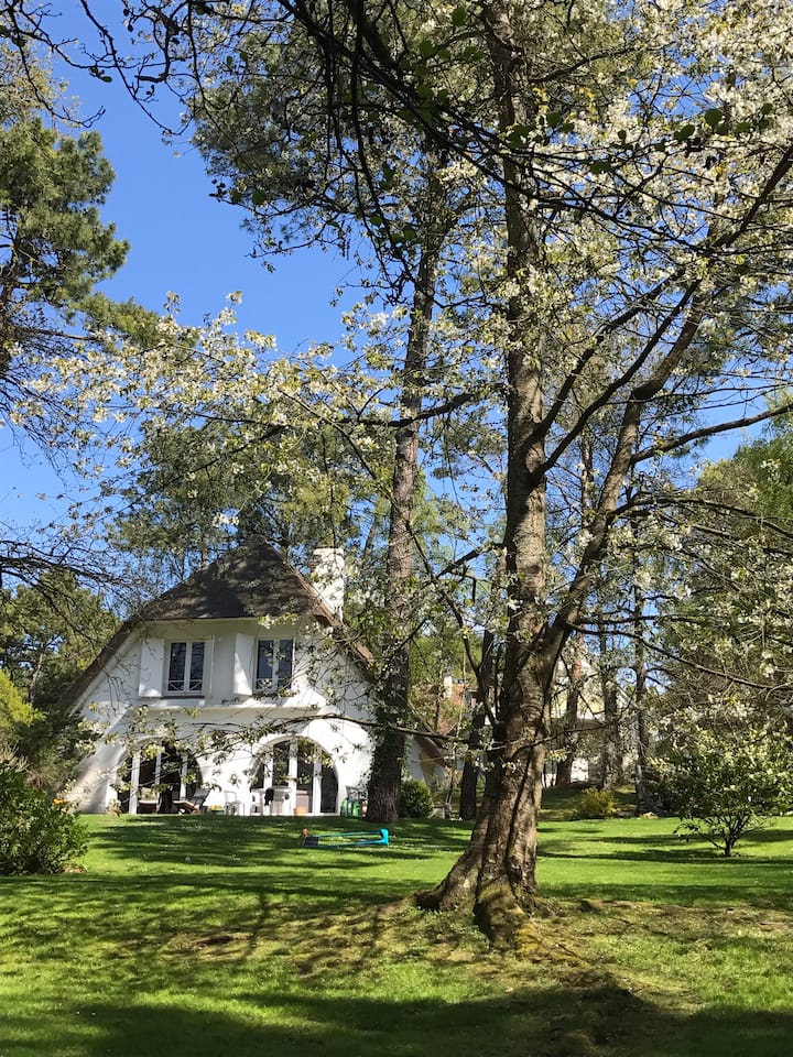 Charmante Villa Proche Centre Dans La Foret - Le Touquet-Paris-Plage