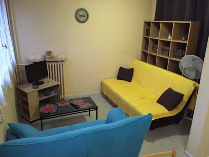 Appartement F1 32m2 Tout éQuipé. Vue Sur Pdd Royat - Royat