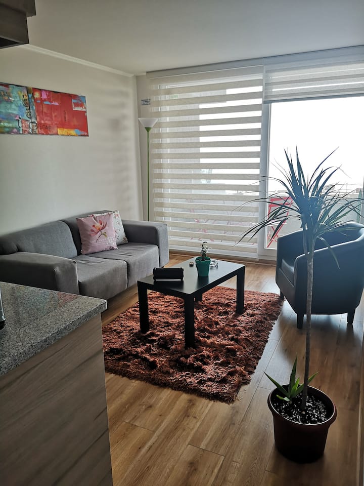 Depto. Moderno Con Vista Al Mar - Antofagasta, Chile