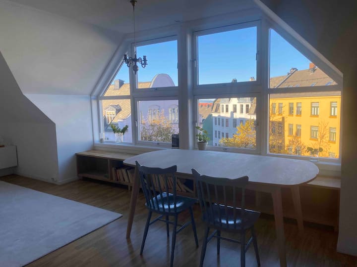 Lys Og Sentral Toppleilighet! - Trondheim