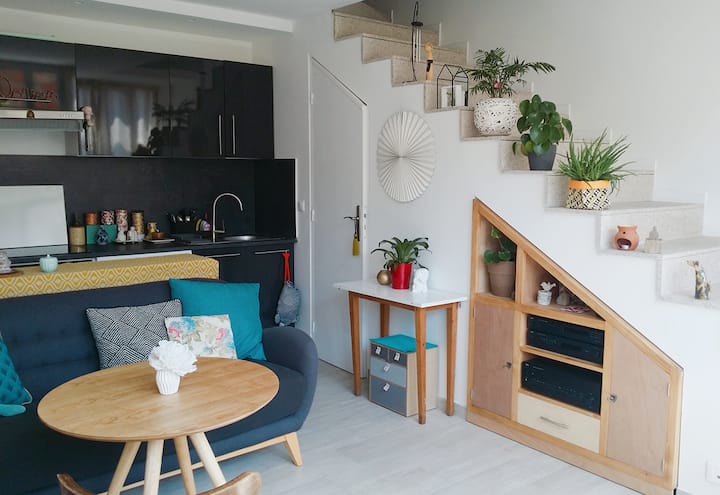 Cosy Flat 2p+terrasse, Charming  Area, Near Paris - Le Bourget