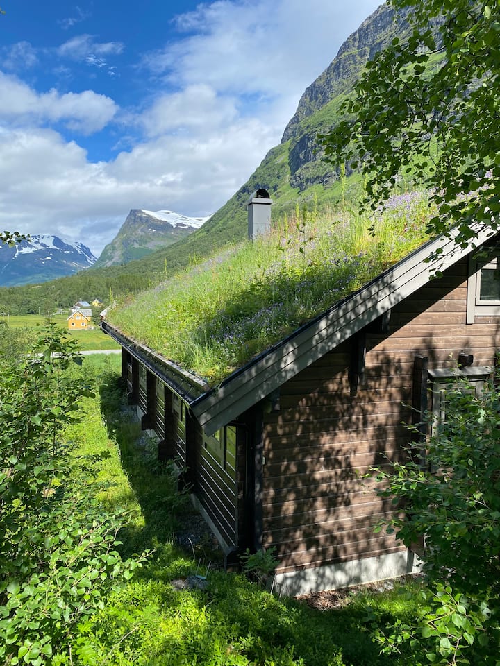 Koselig Tømmerhytte 7 Km Fra Geiranger Sentrum - Geirangerfjord