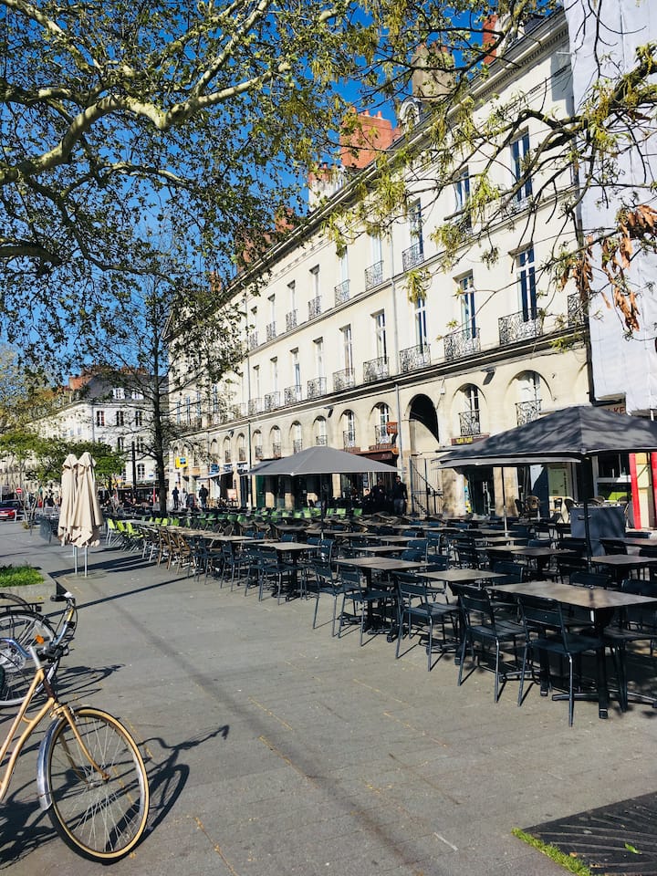 Appartement Mezzanine Hyper Centre - Nantes