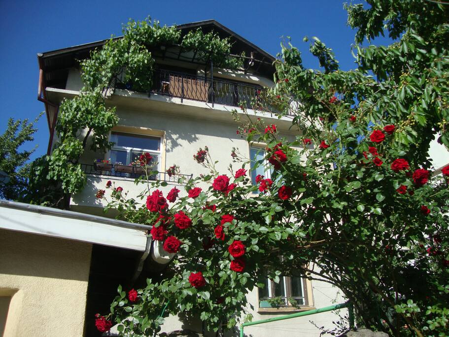 House with garden in Sofia's center - Apartments for Rent in Sofia ...