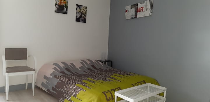 Studio Fonctionnel Au Goût Du Jour - Poitiers