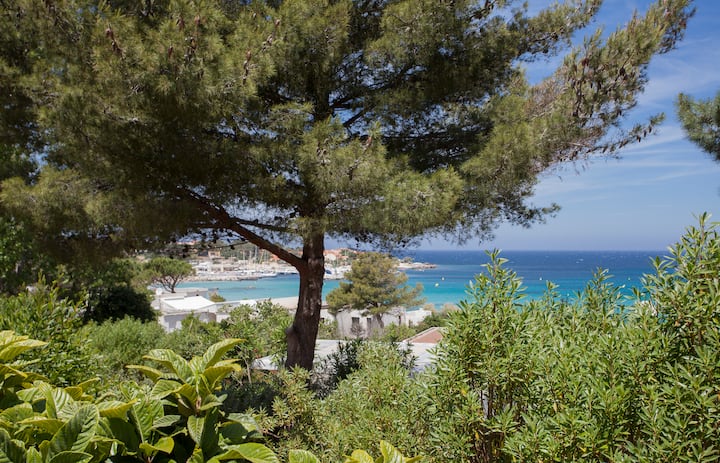 2bjtb1 - Sant Amborggio Villa 1 - Lumio