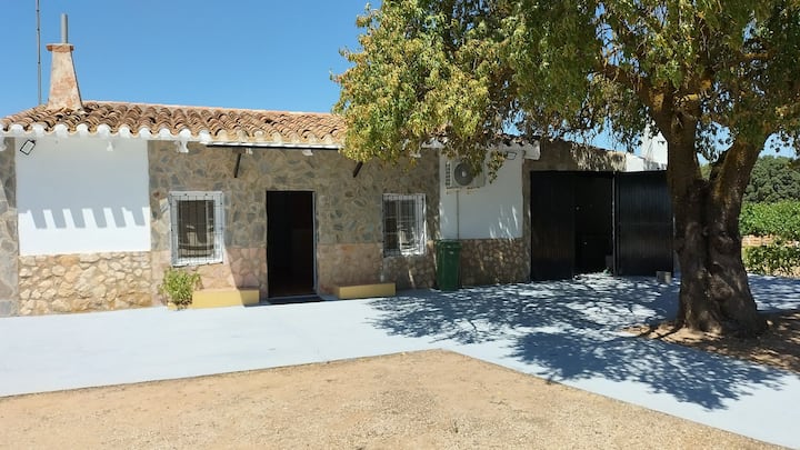 La Oveja Negra, En Pleno Corazón De La Mancha, Rodeado Del Mayor Viñedo Del Mundo. Piscina Esférica, Sala Con Barbacoa, Salon Con Chimenea, Tv, Wifi, A/a, E.sonido, 3 Habitaciones, Cocina, Botelleros, Mobiliario, Chill-out, Ideal Para Celebraciones, - Villarrobledo