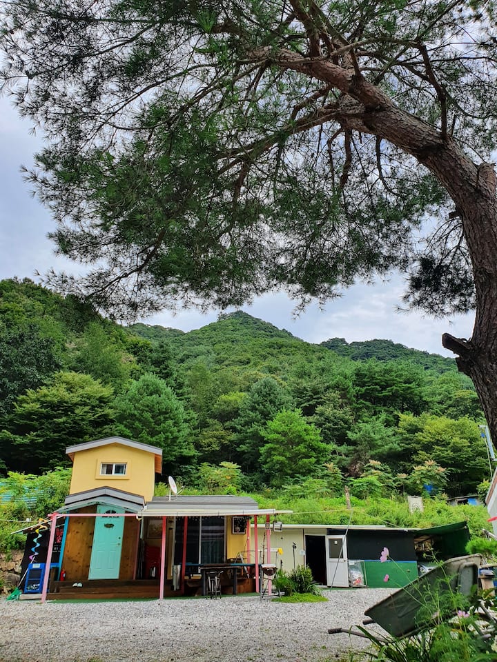 코로나 걱정없는 청정지역 솔향이진한민박
시골집 체험&촌캉스 - 원주시