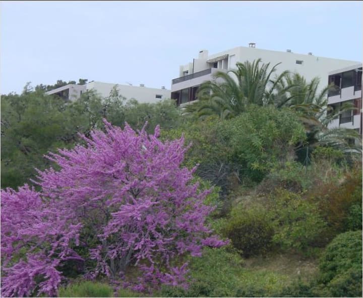 Cassis, Perle De Côte Méditerranée - Cassis