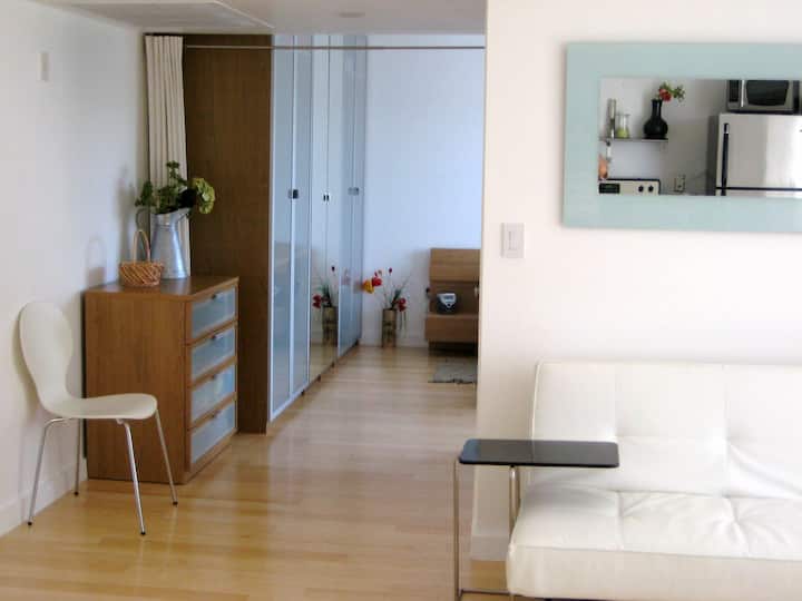 Designer Sobe Condo 1 Blk To Ocean - Miami Beach, FL