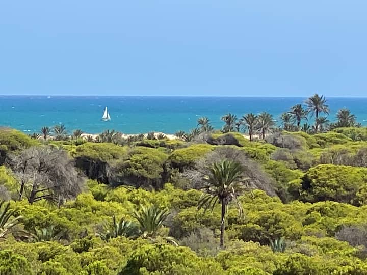 Inmejorables Vistas Junto Al Puerto - Guardamar del Segura