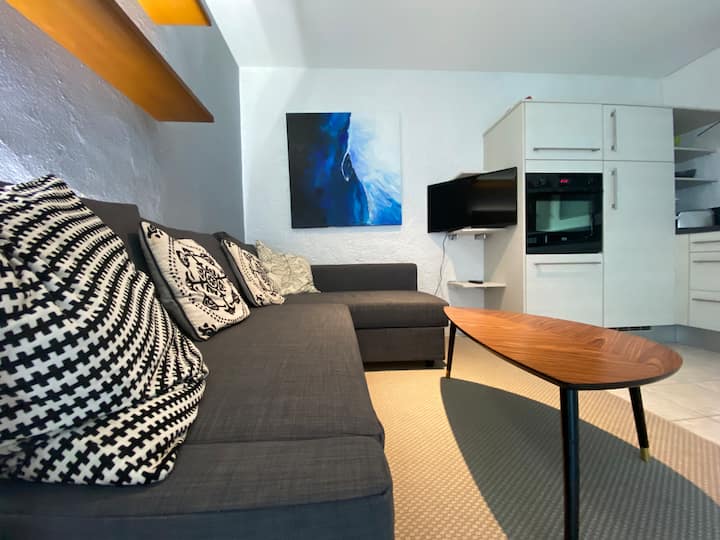 Appartement T2+ Seignosse à 100m De La Plage - Seignosse