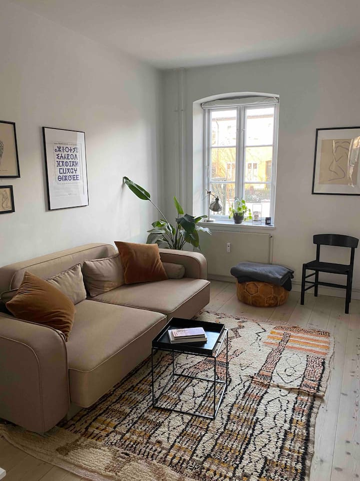 Amazing Townhouse In The City - Copenhague