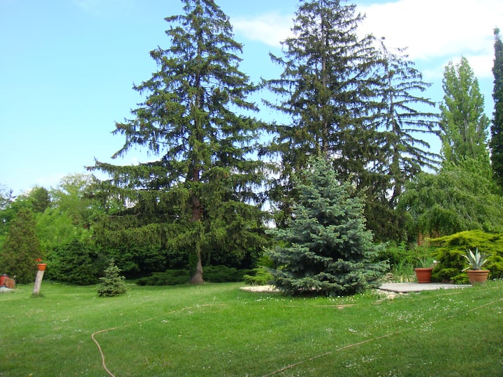 Luxurious Holiday In The Green Belt - Siófok