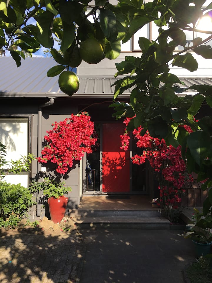 Three Bedrooms -Spacious Living Near Cbd & Mt Eden - Auckland