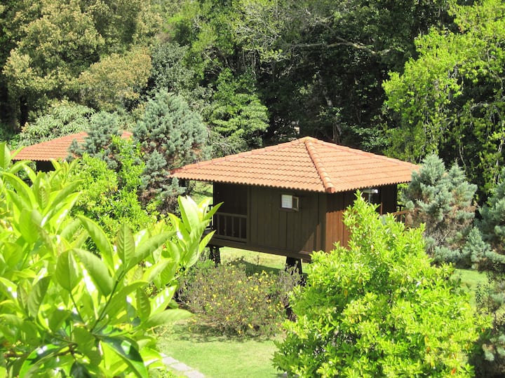 Abrigo De Montanha Natureza E Você - Madeira
