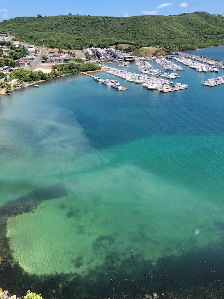 Waterfront High-rise Apt With Gorgeous Ocean View - Fajardo