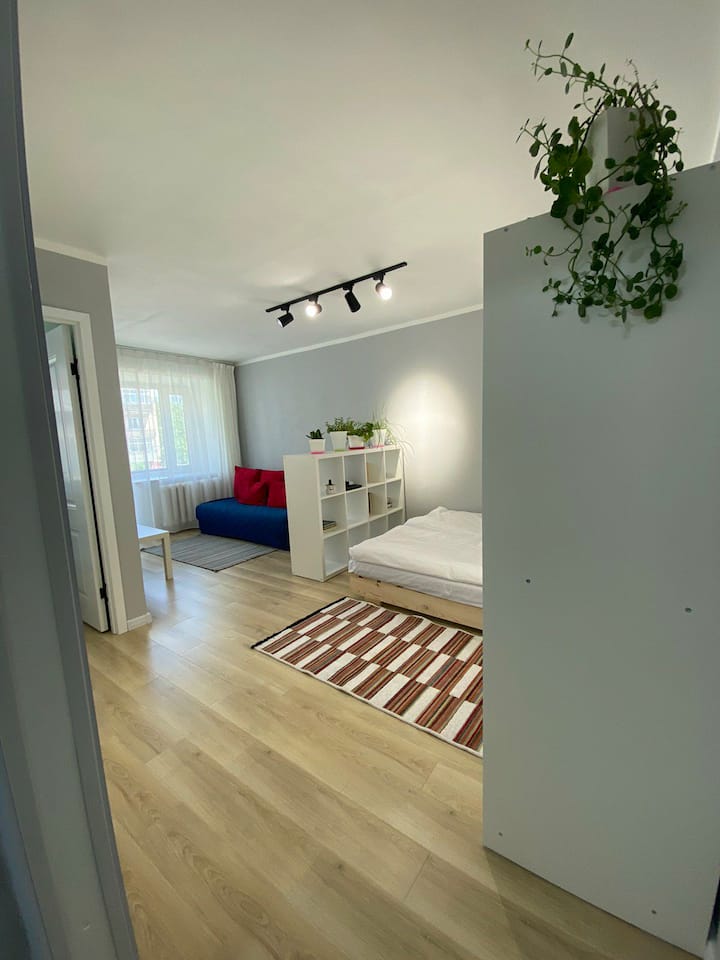 Cozy Studio Apartment - Mongolie