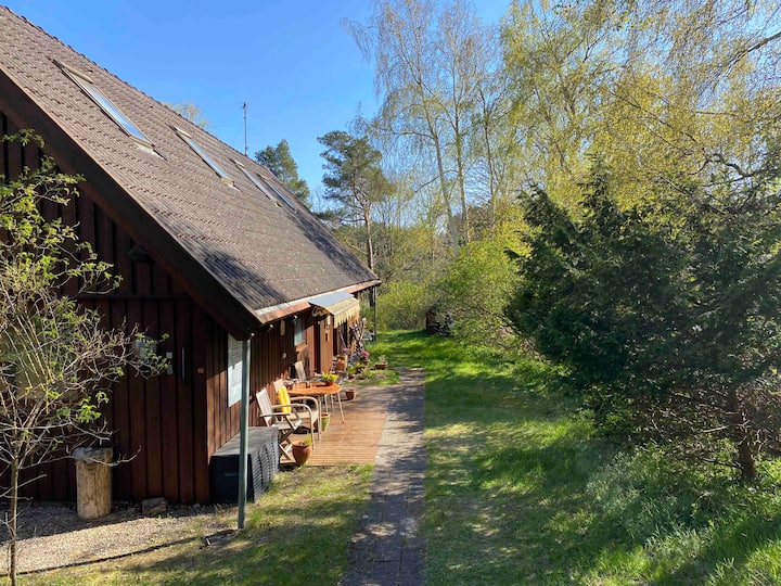 Rummeligt Sommerhus 400m Til Sandstrand - Denmark